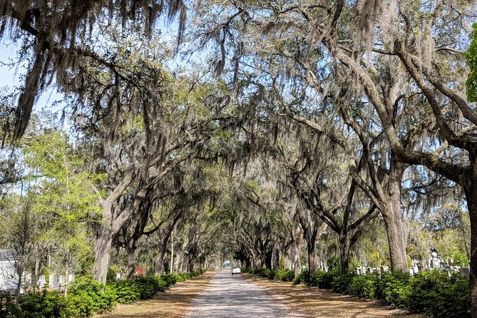 The Best Savannah Plantation Tours (w/Prices & Reviews) | Cool Savannah